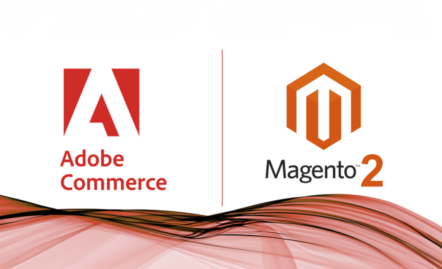 10 Outstanding B2B Magento/Adobe Commerce Sites - TMO Group