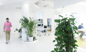 About TMO Group - eCommerce Specialists