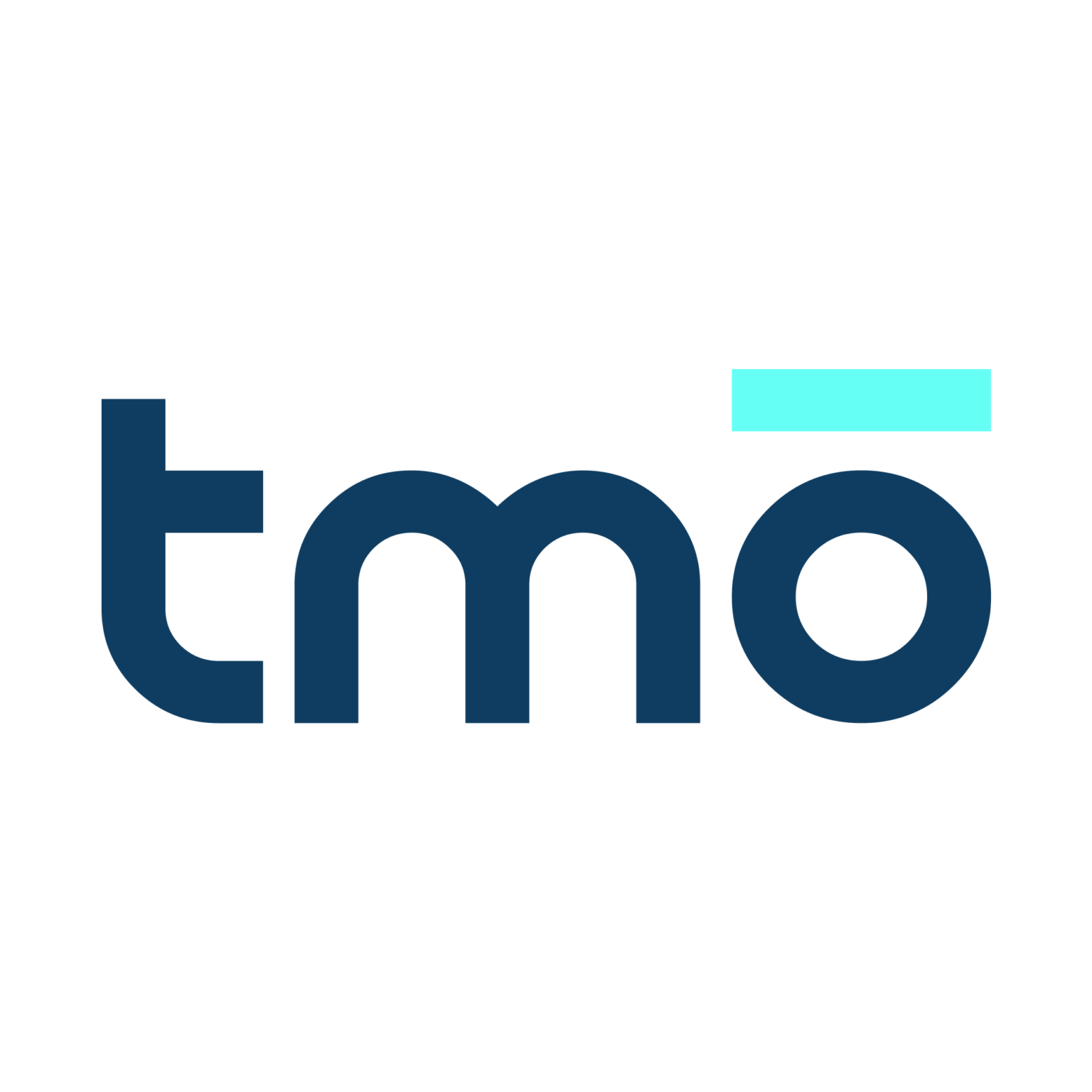 Market Research Intern - TMO Group