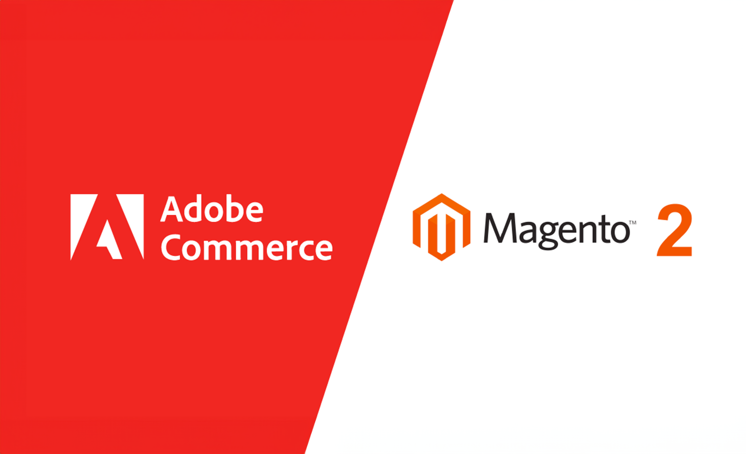Why choose Adobe Commerce (Magento) for your eCommerce - TMO Group